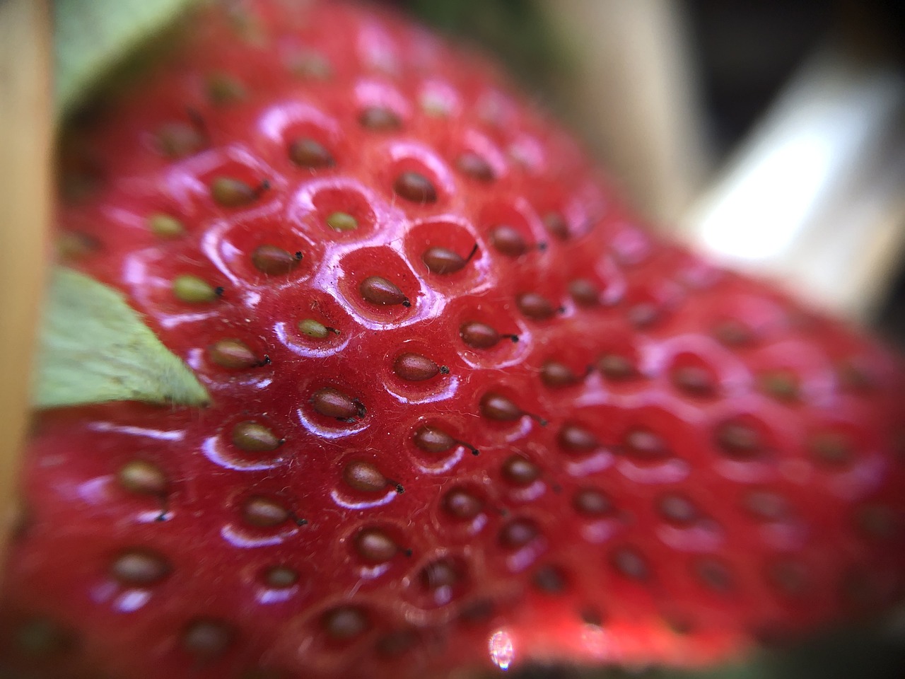 Morango Sementes Ampliação - Foto gratuita no Pixabay