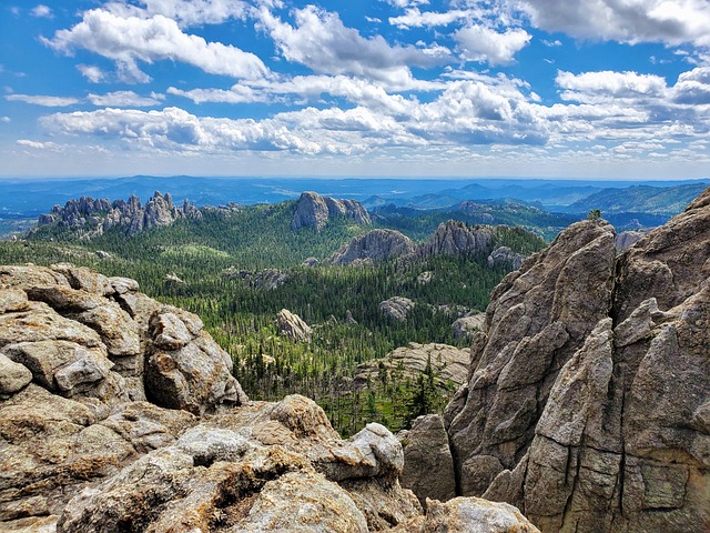 Pico De Alce Negro Dakota Del Sur - Foto gratis en Pixabay