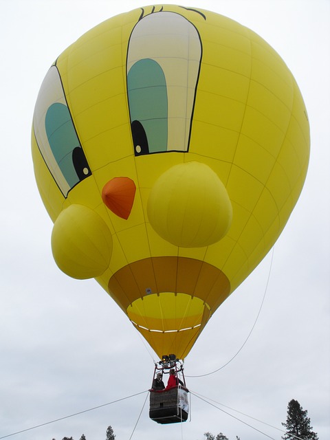 Tweedy Hot Air Balloon Sky - Free photo on Pixabay - Pixabay
