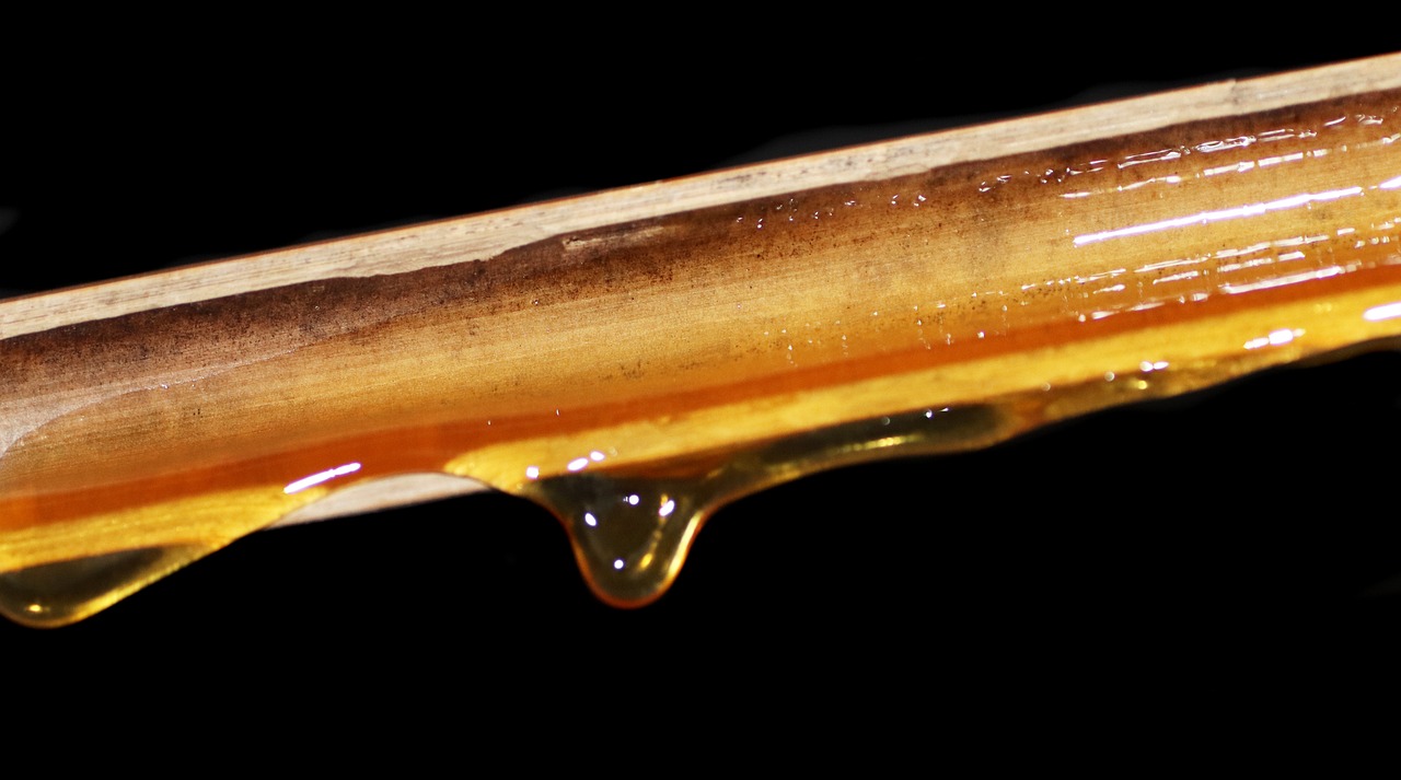 10,000+ Free Honey Drop & Honey Images - Pixabay