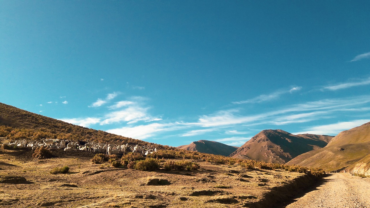 Más de 10 000 imágenes gratis de Sierra Del Perú y Perú - Pixabay