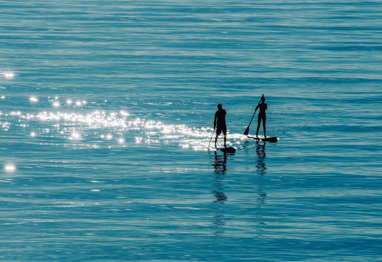 Sea Stand-Up Paddle Paddling - Free photo on Pixabay