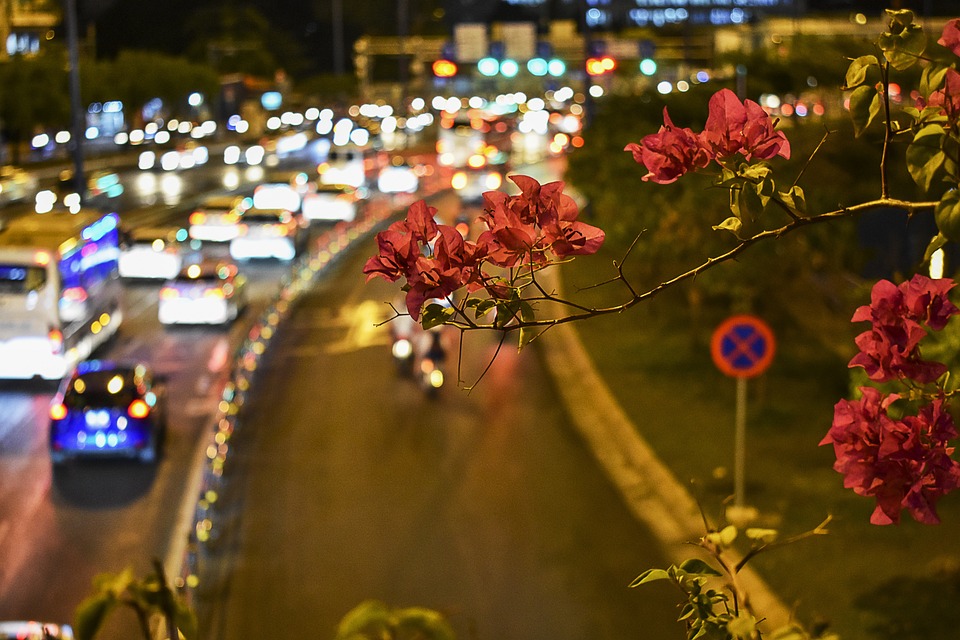 Kota Bunga-Bunga Jalan - Foto gratis di Pixabay - Pixabay