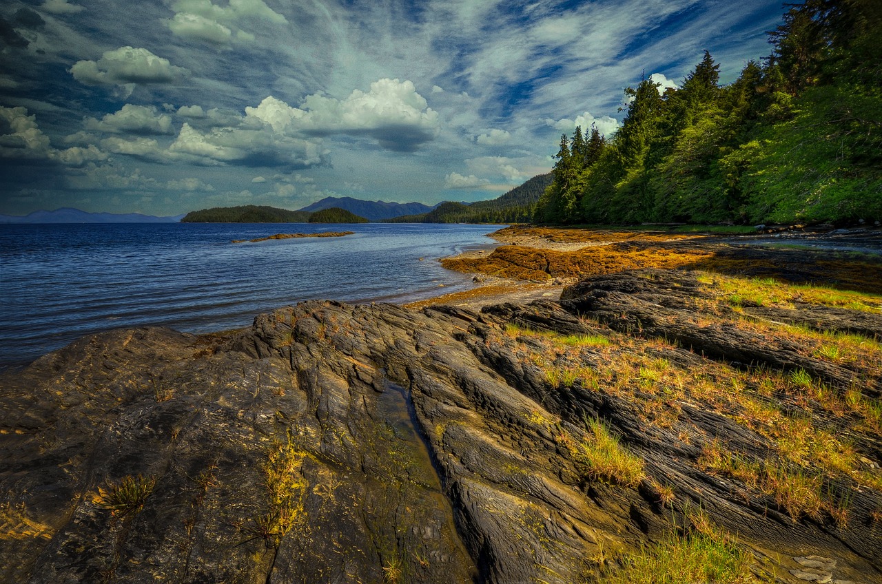Mountains Coast Forest - Free photo on Pixabay - Pixabay