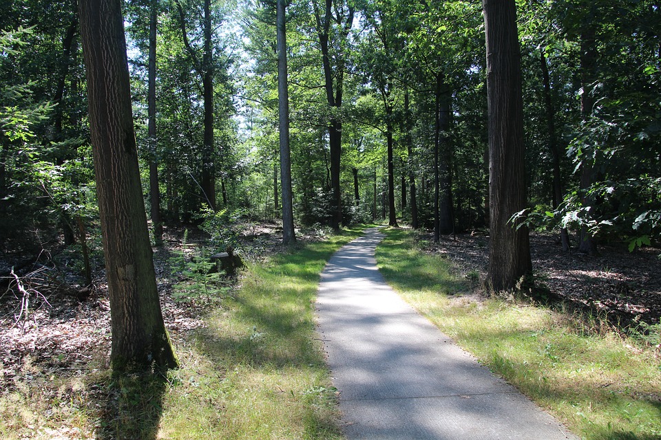Piste Cyclable Forêt Nature Pays - Photo gratuite sur Pixabay - Pixabay