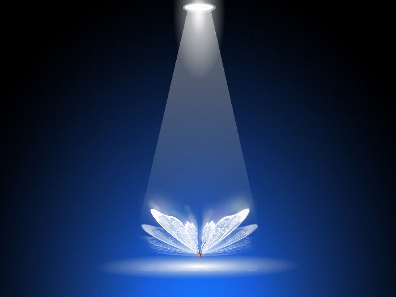 Download Butterfly, Wings, Light. Royalty-Free Stock Illustration Image ...