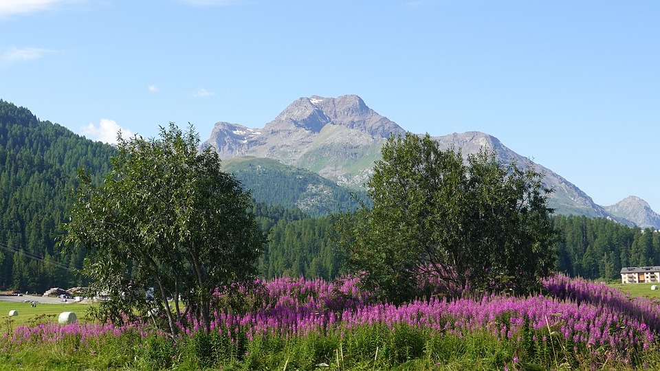 Engadin Berglandschaft - Kostenloses Foto auf Pixabay