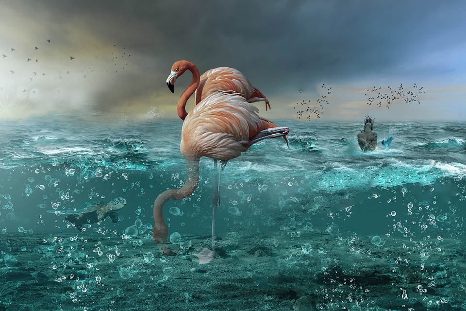 Flamingo Mermaid Sea - Free photo on Pixabay - Pixabay