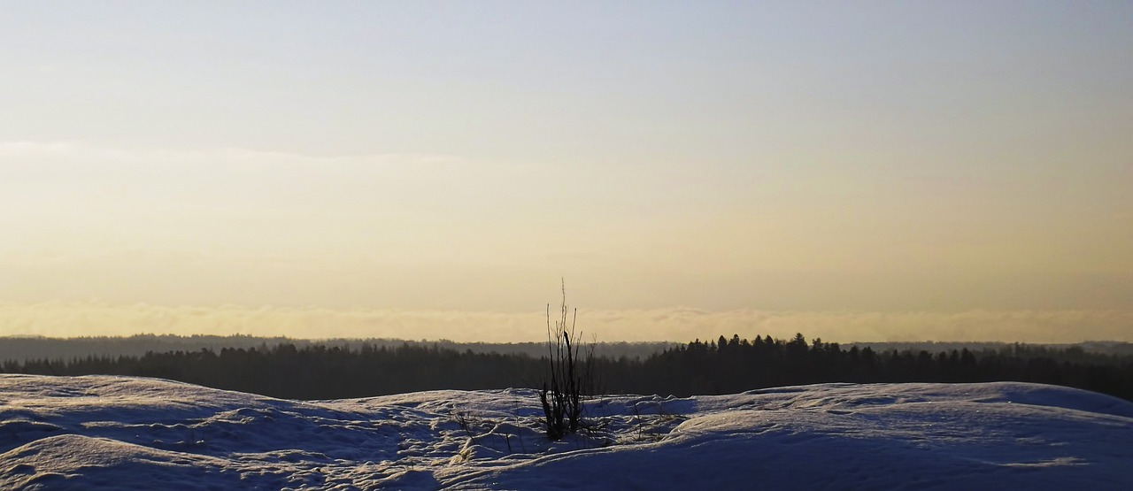 På Toppen Kulle Horisont - Gratis foto på Pixabay - Pixabay