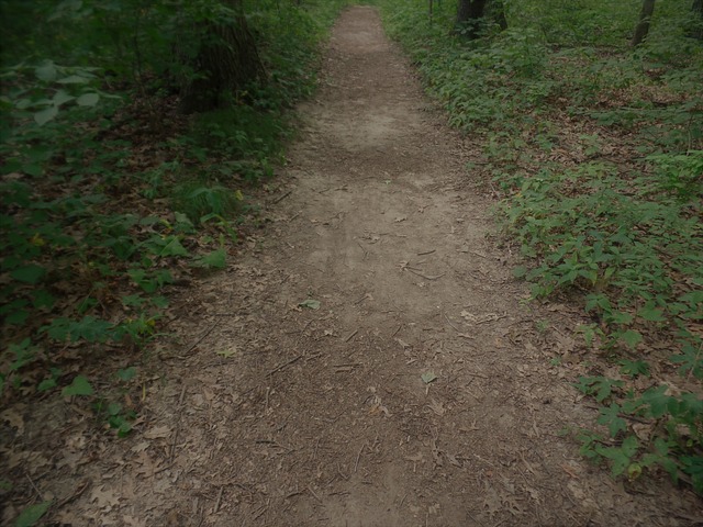 Trail Park Landscape - Free photo on Pixabay - Pixabay