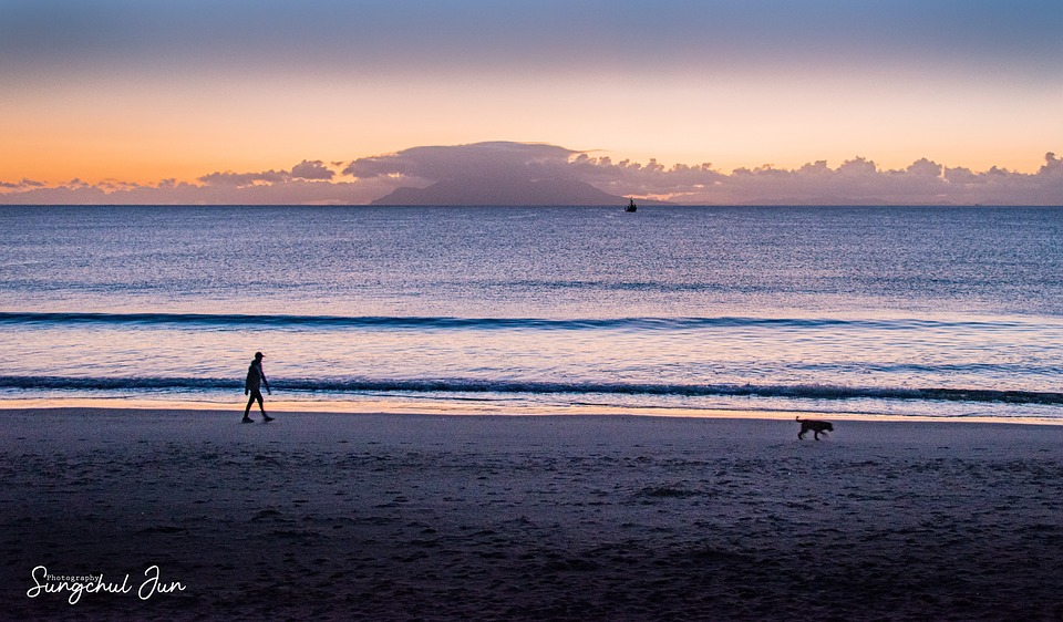 Strandjogging Auckland - Gratis foto på Pixabay - Pixabay