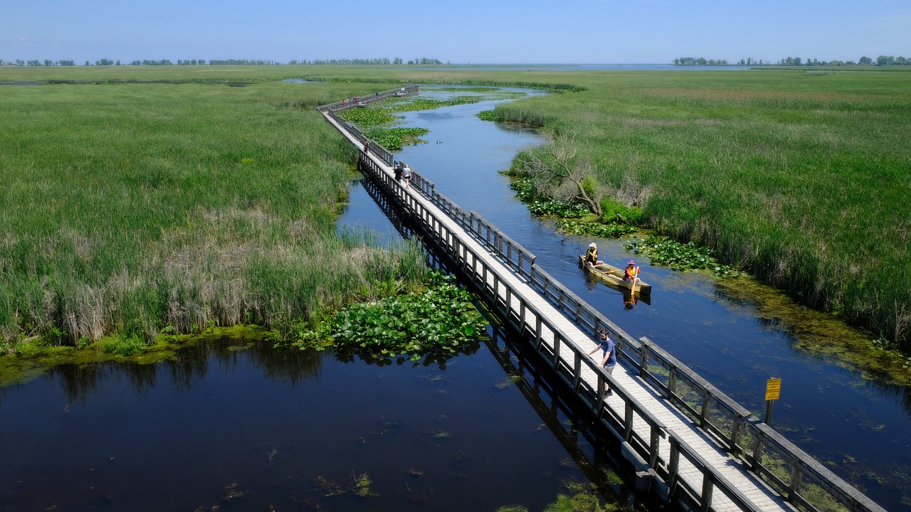 Point Pelee National Park - Free photo on Pixabay - Pixabay