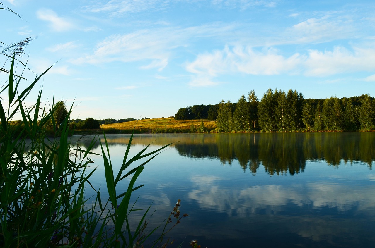 Lac Réflexion Des Arbres - Photo gratuite sur Pixabay - Pixabay