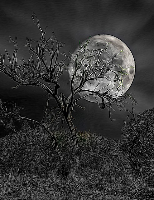 Spooky Moon Halloween - Free photo on Pixabay - Pixabay
