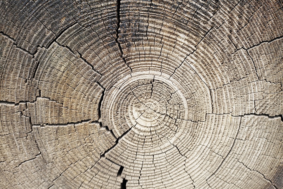 Wood Cut Wooden - Free photo on Pixabay