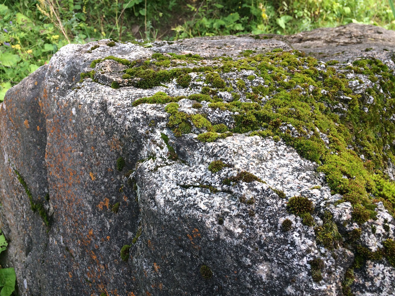 Rock Moss Mossy - Free photo on Pixabay
