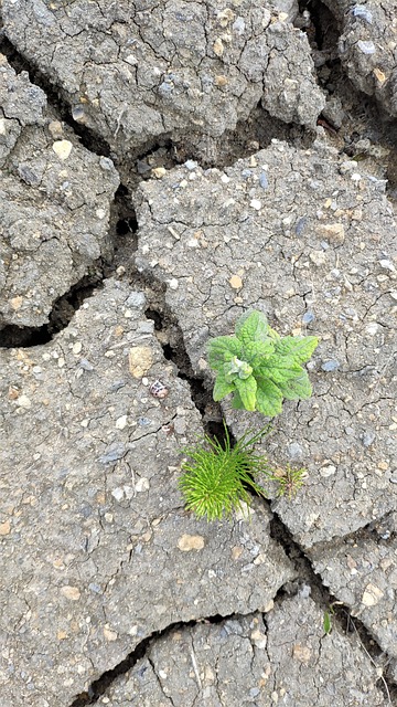 Earth Dry Drought - Free photo on Pixabay - Pixabay