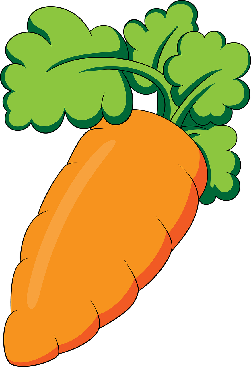 2,000+ Free Carrots & Food Images - Pixabay