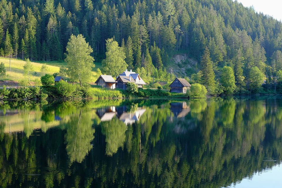 Lake Hut Forest - Free photo on Pixabay - Pixabay