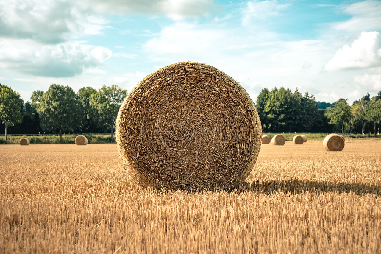 Hooibalen Gebied Hooi - Gratis foto op Pixabay - Pixabay