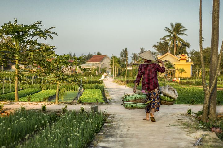 4,000+ Free Farmer & Agriculture Images