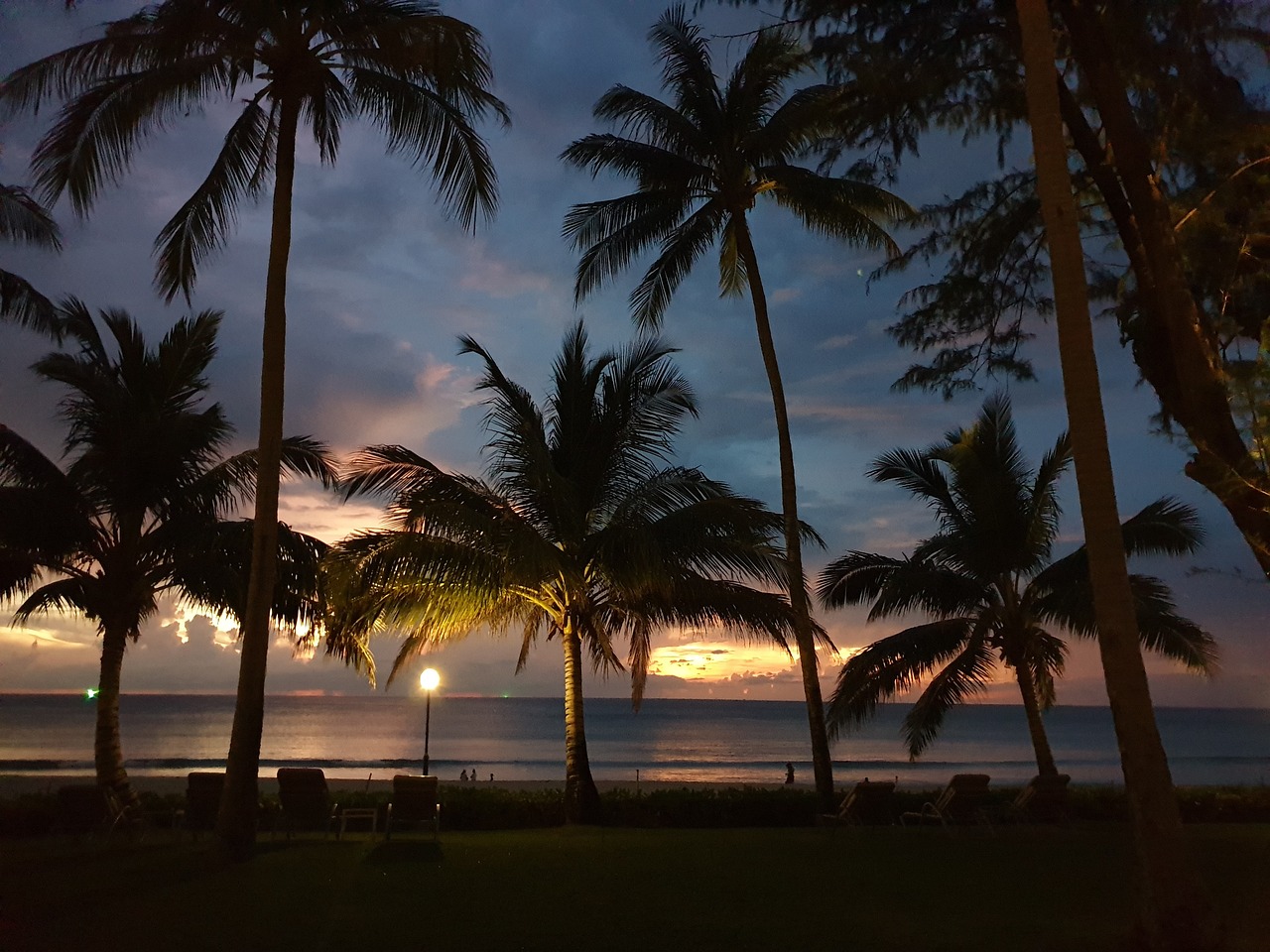 Palm Trees Ocean Beach - Free photo on Pixabay - Pixabay