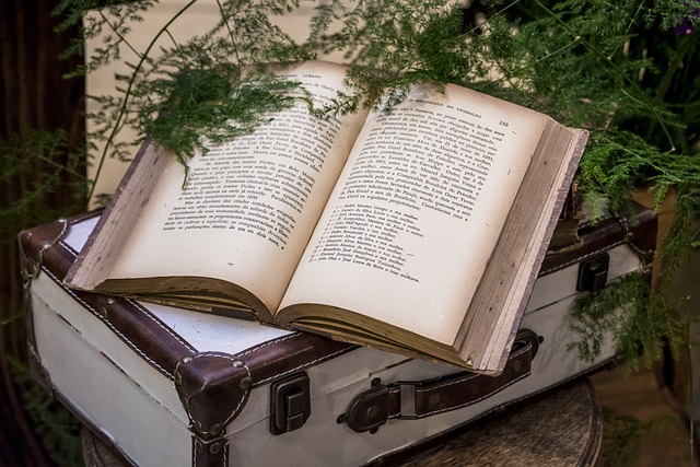 Book Pages Text - Free photo on Pixabay