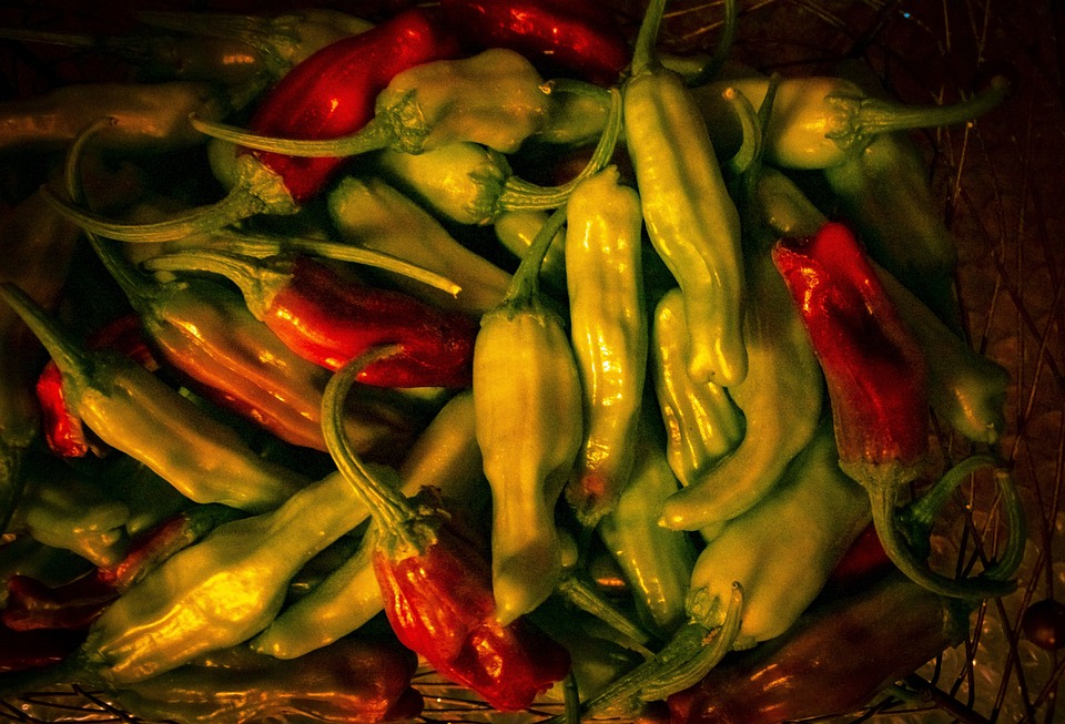 Chili Red Green - Free photo on Pixabay