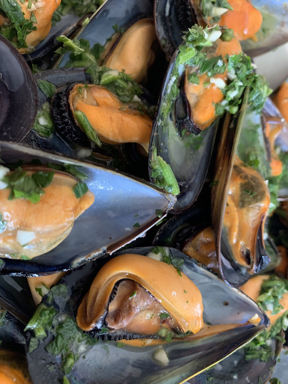 Mejillones Comida Fruto De Mar - Foto gratis en Pixabay - Pixabay