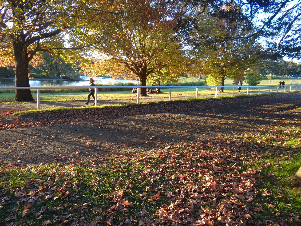 Park People Family - Free photo on Pixabay - Pixabay