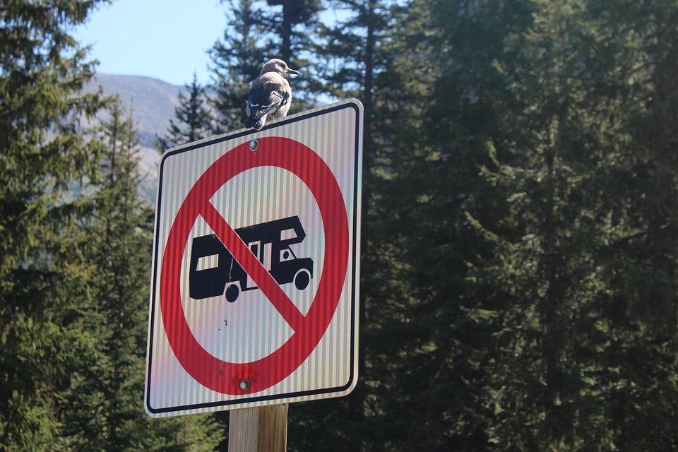 Signal Bird Birds - Free photo on Pixabay - Pixabay