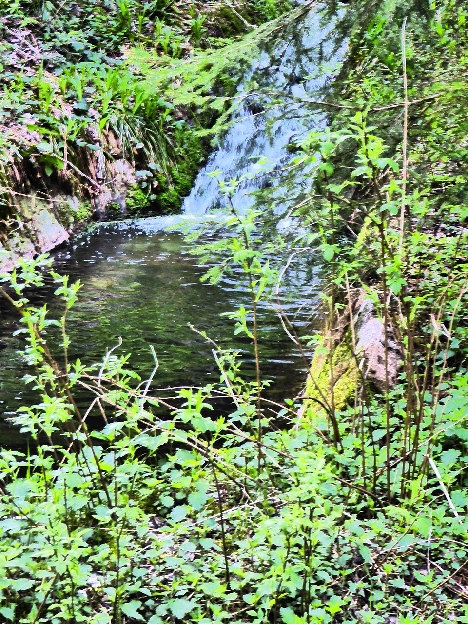 Nature Lac Cascade En Plein - Photo gratuite sur Pixabay - Pixabay
