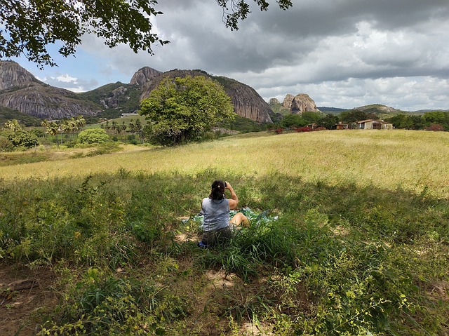 Champ Paysage La Nature - Photo gratuite sur Pixabay - Pixabay
