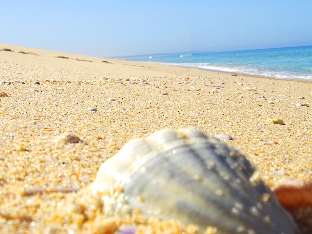 Strand Meer Wasser - Kostenloses Foto auf Pixabay - Pixabay