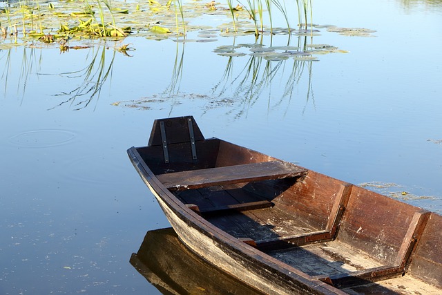 Bote Pantano Agua - Foto gratis en Pixabay - Pixabay