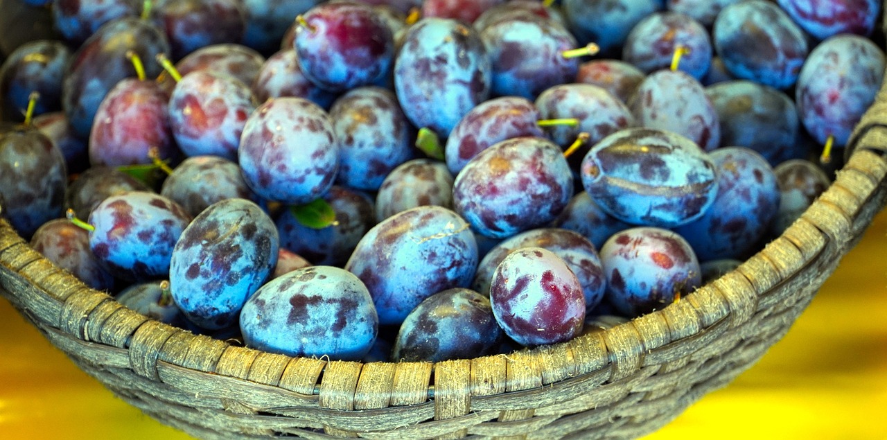 Plommon Frukt Mogen - Gratis foto på Pixabay - Pixabay