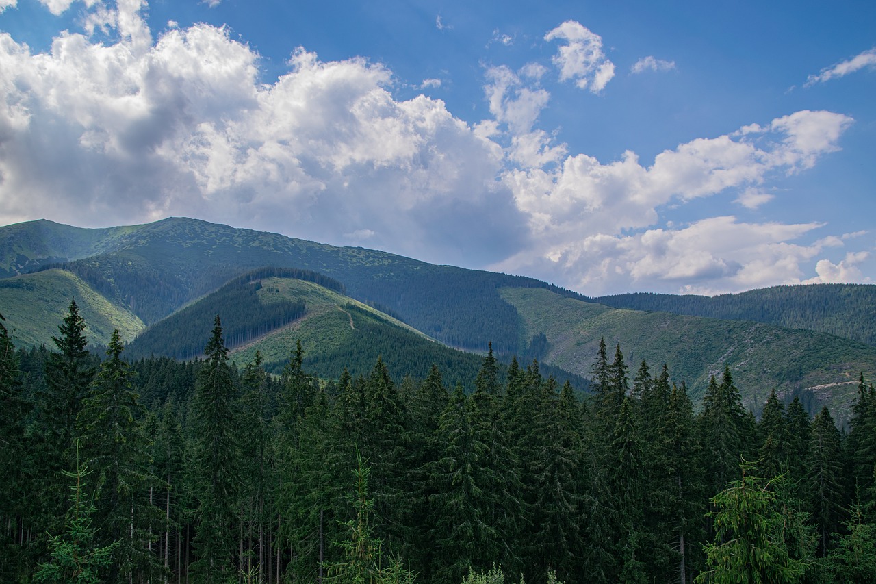 Mountains Nature Forest
