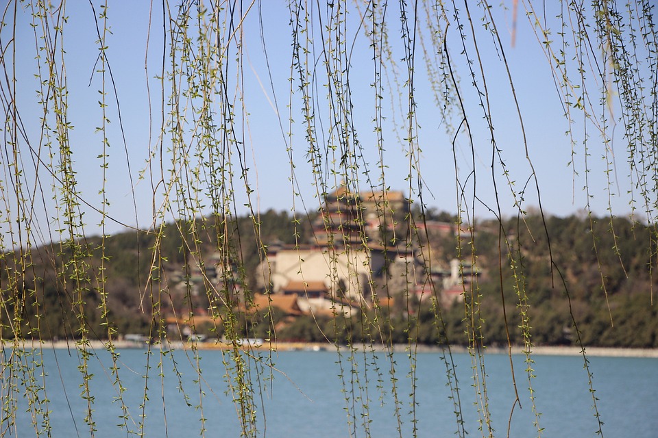 Landscape Scene Spring Kunming - Free photo on Pixabay - Pixabay