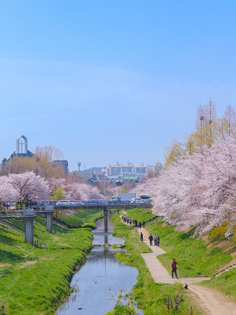 Trees Bridge River - Free photo on Pixabay
