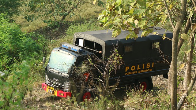 Camion De Police Nature Véhicule - Photo gratuite sur Pixabay - Pixabay
