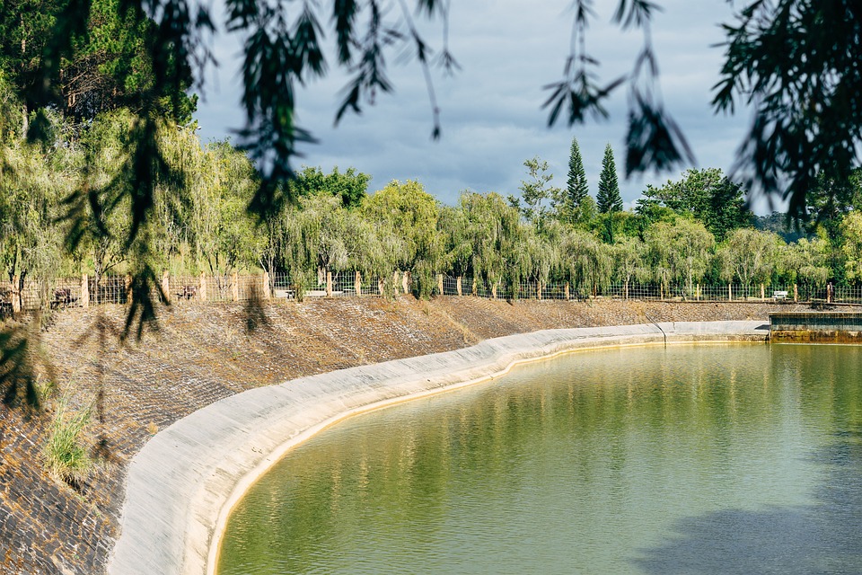 Lake Bank Water - Free photo on Pixabay