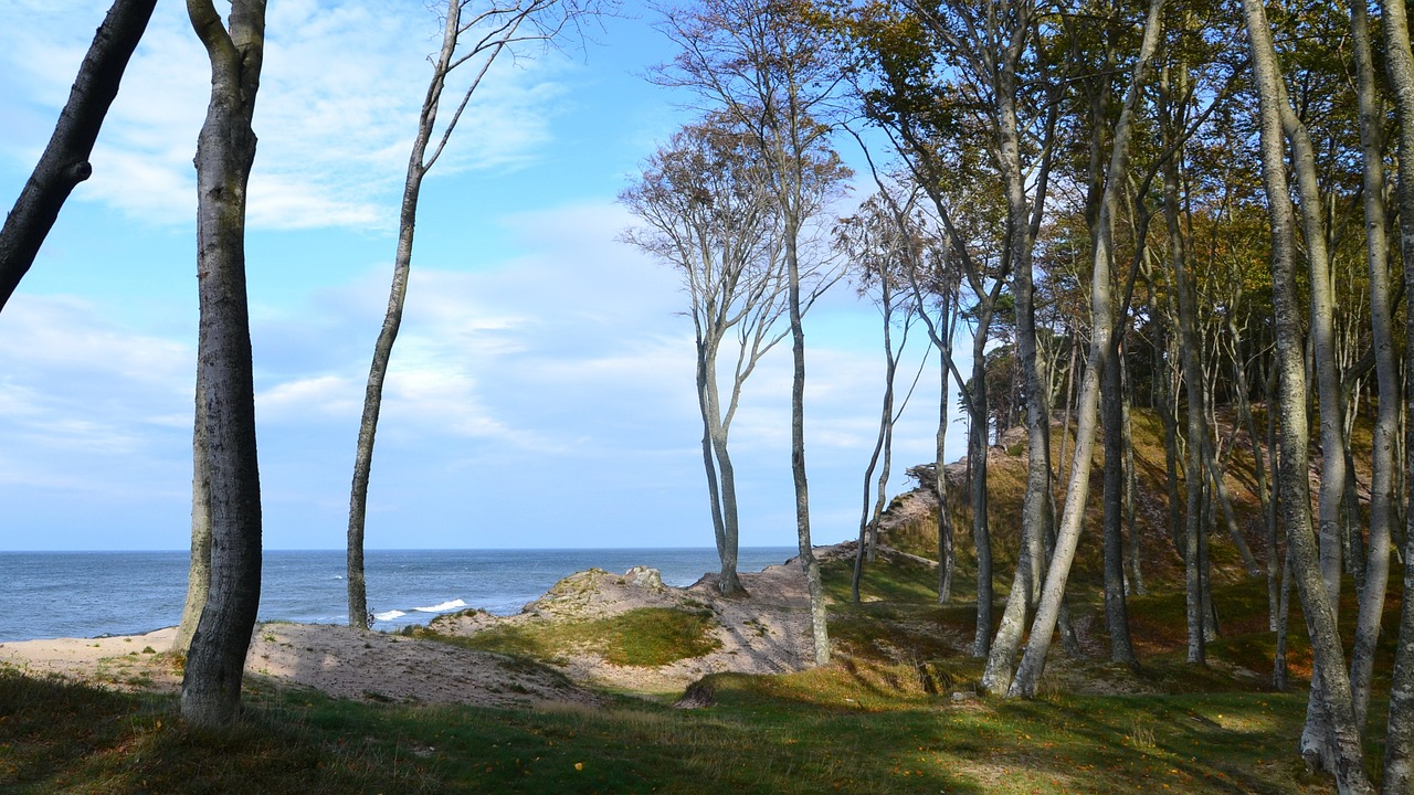 Sea Cliff - Free photo on Pixabay - Pixabay