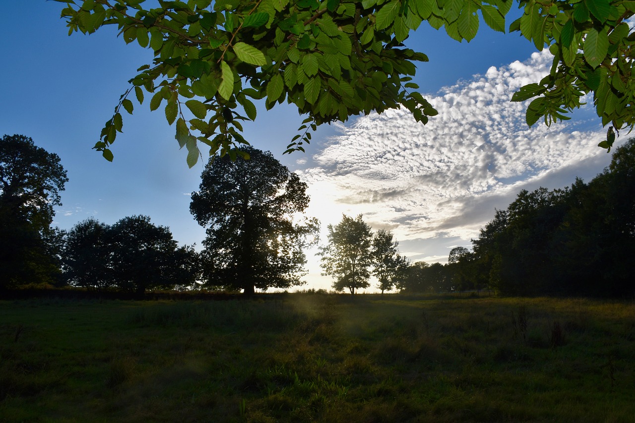 100+ Free Prairie Sunset & Prairie Images - Pixabay
