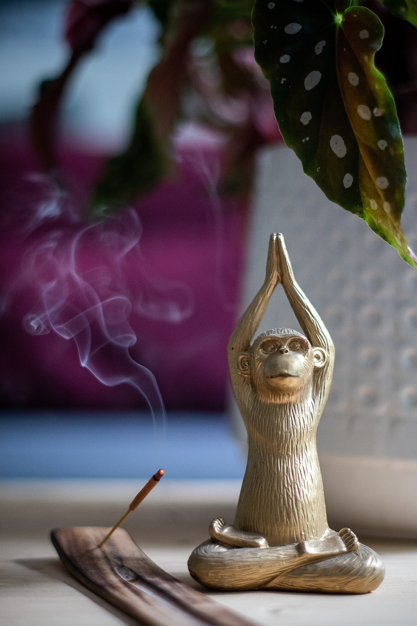 Yoga Monkey Incense - Free photo on Pixabay - Pixabay