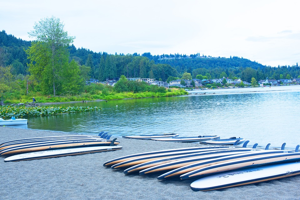 Lake Stand Up Paddle Boat Park - Free photo on Pixabay - Pixabay