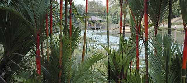 Kebun Raya Kolam Bambu - Foto gratis di Pixabay - Pixabay