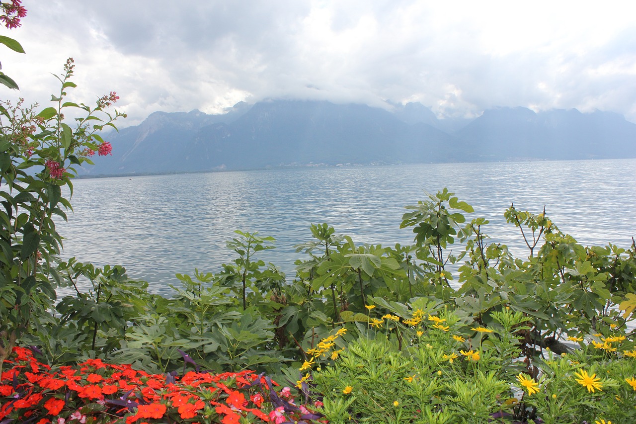 Genfer See Schweiz - Kostenloses Foto auf Pixabay - Pixabay