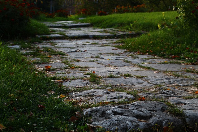 Chemin Piste Pierres La - Photo gratuite sur Pixabay - Pixabay