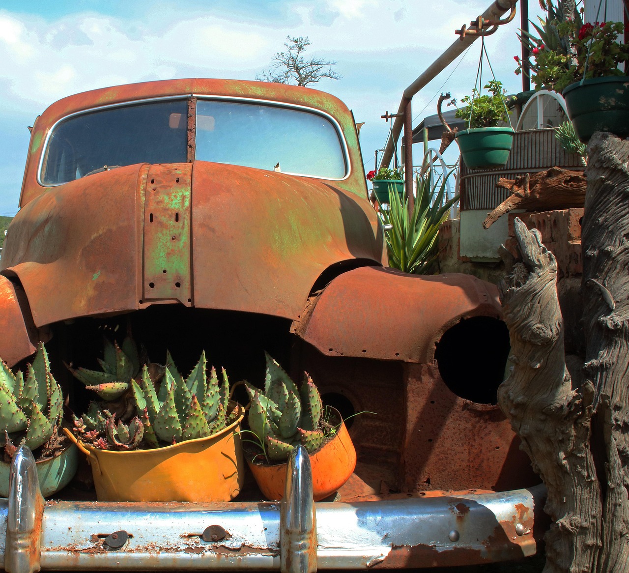 Pot Plants In Bonnet Of Old Car - Free photo on Pixabay - Pixabay