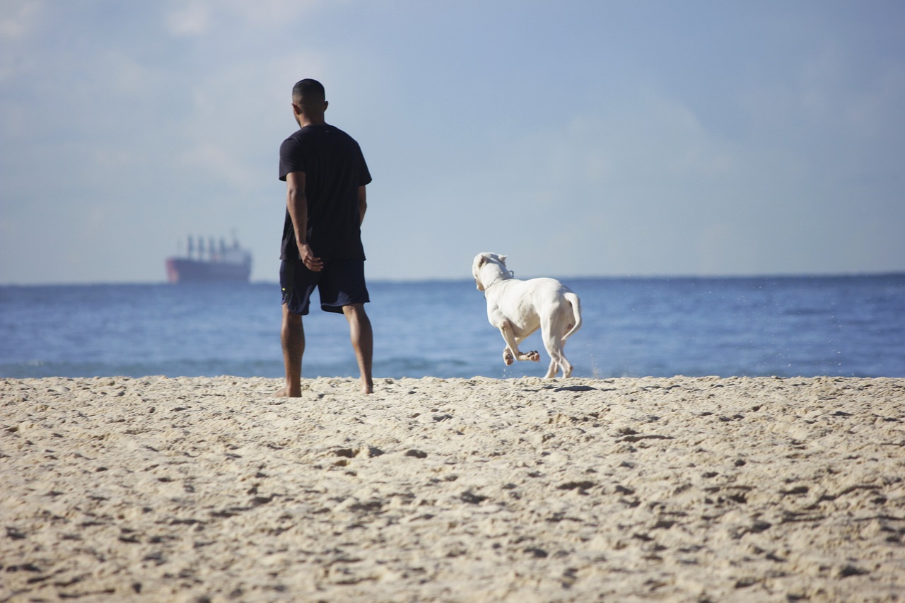Man Beach Dog - Free photo on Pixabay - Pixabay
